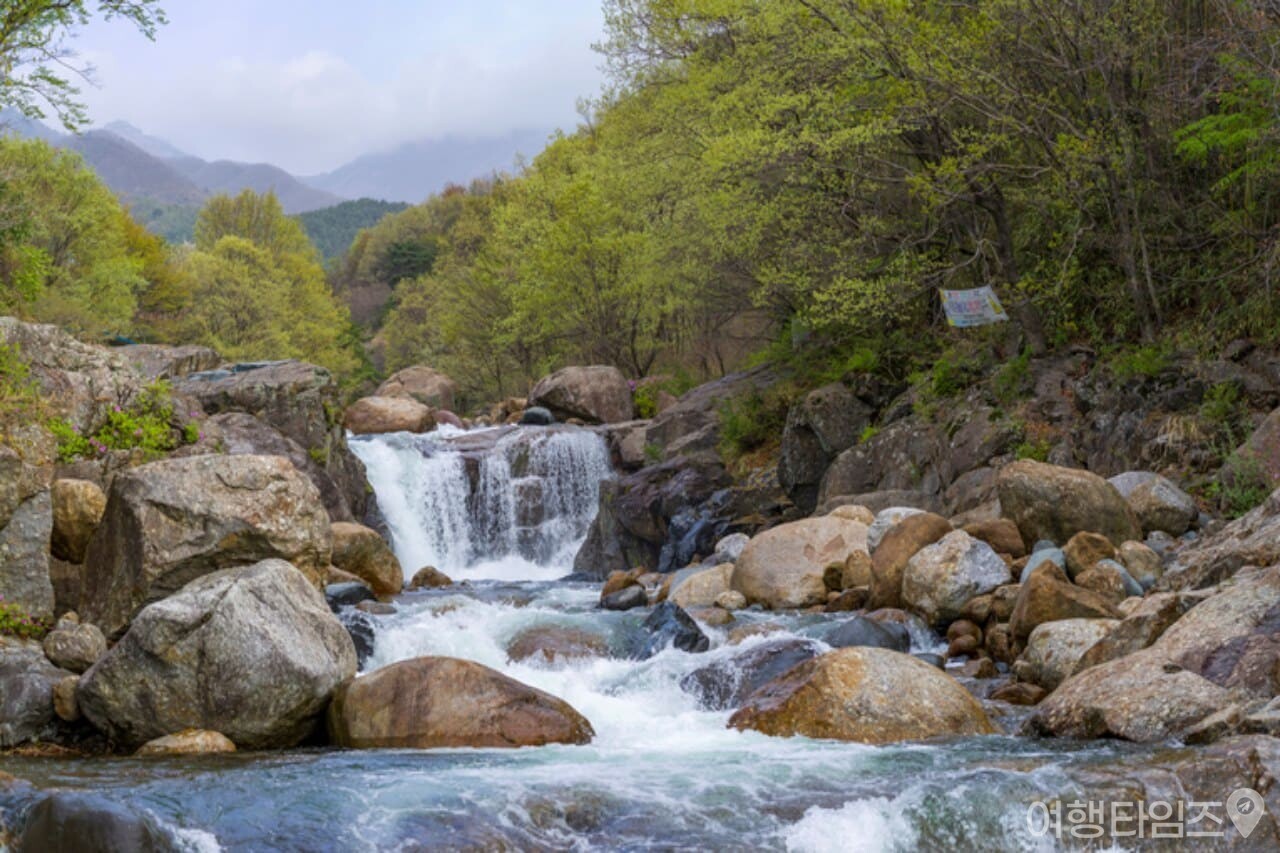"8월 29일까지만 개방합니다" 여름 계곡 피서지로 드디어 개방한 지리산국립공원 계곡